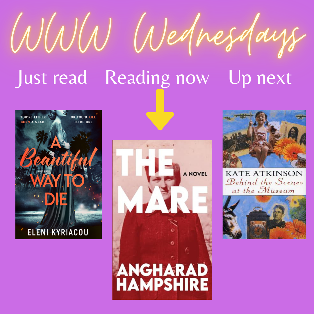 #WWWWednesday – 4th June 2025 – What Cathy Read Next…