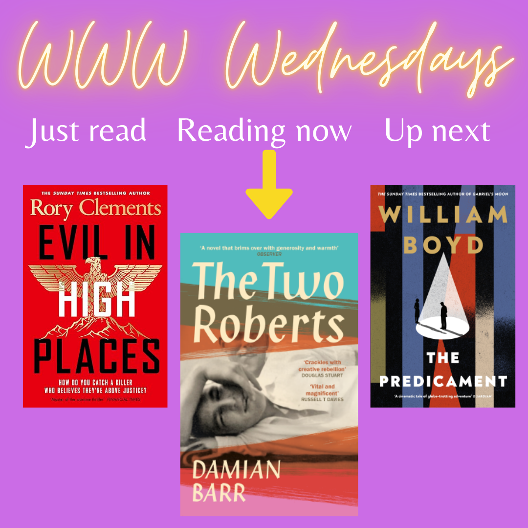 #WWWWednesday – 20th August 2025 – What Cathy Read Next…